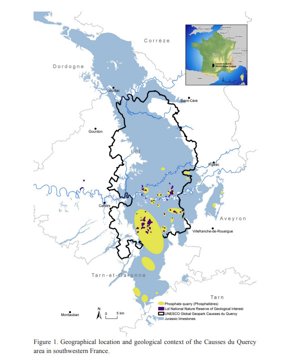 The Other lost world - The Lanius Shrubstack