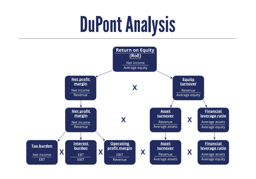 Unveiling ROE: The Golden Key to Warren Buffett's Investment Strategy