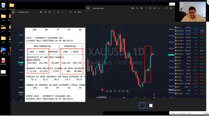 Gold's Perfect Turnaround Week - by VBL - GoldFix