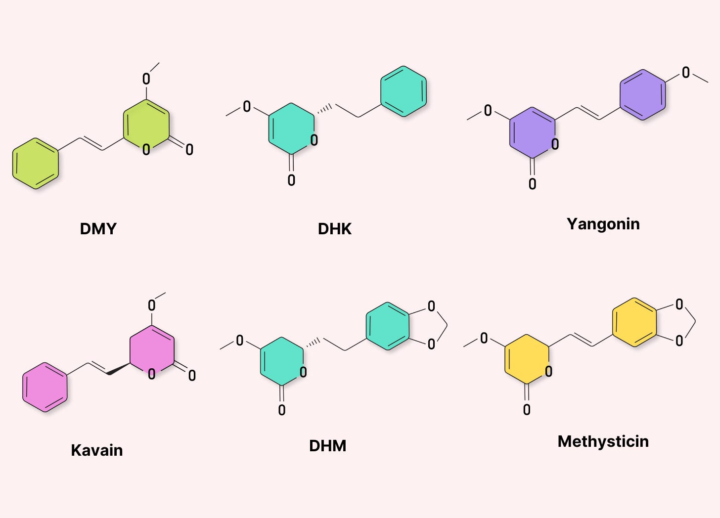 Meet Kava: Mother Nature's Answer to Stress 🌱