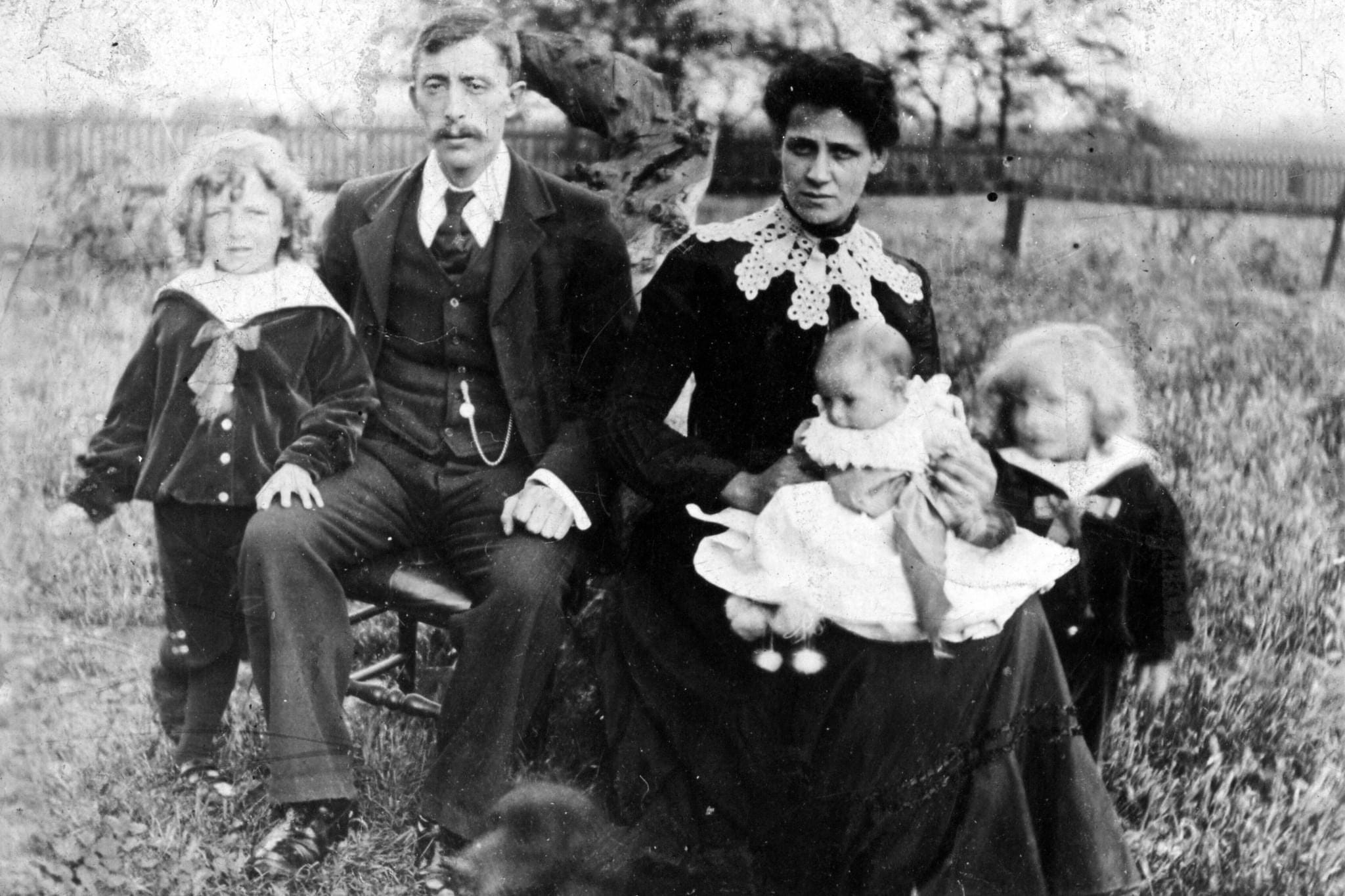 Poetry Pals - Week 15 - Genealogy Poetry