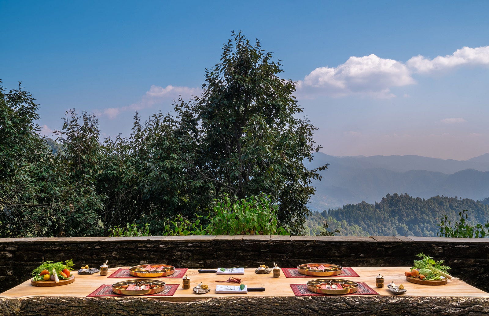 Enliven Your Senses in the Primaeval Forests of Binsar at Mary Budden ...