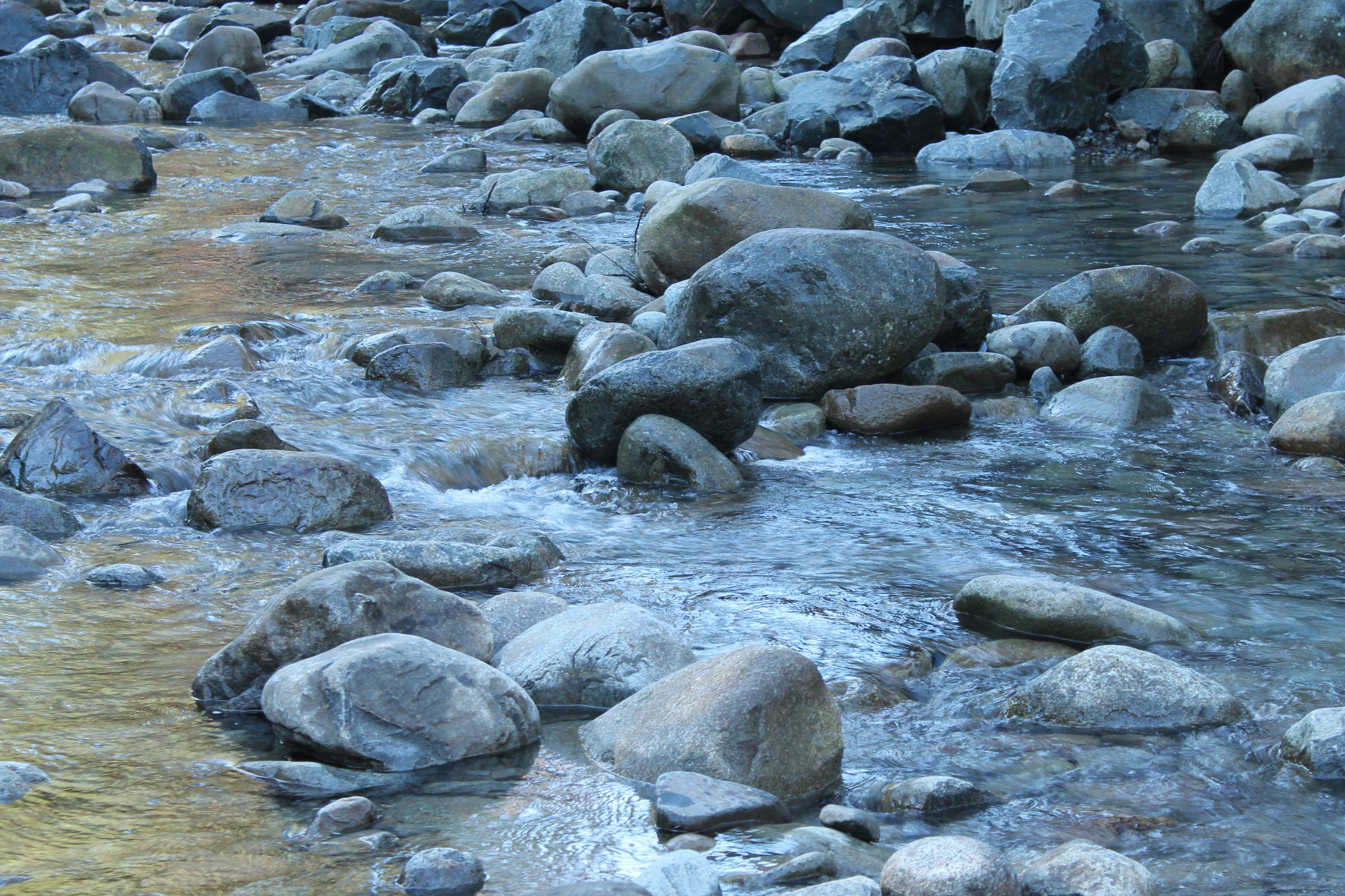 hurdles and obstacles - helen hayward home work