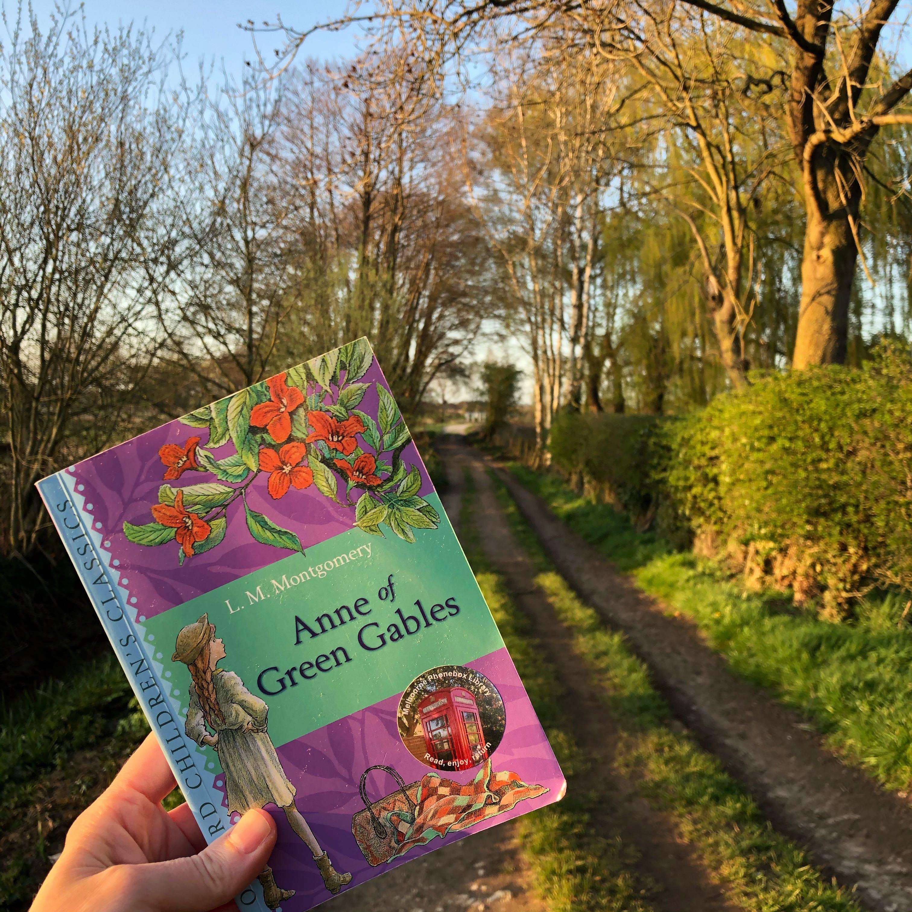 The art of comfort reading