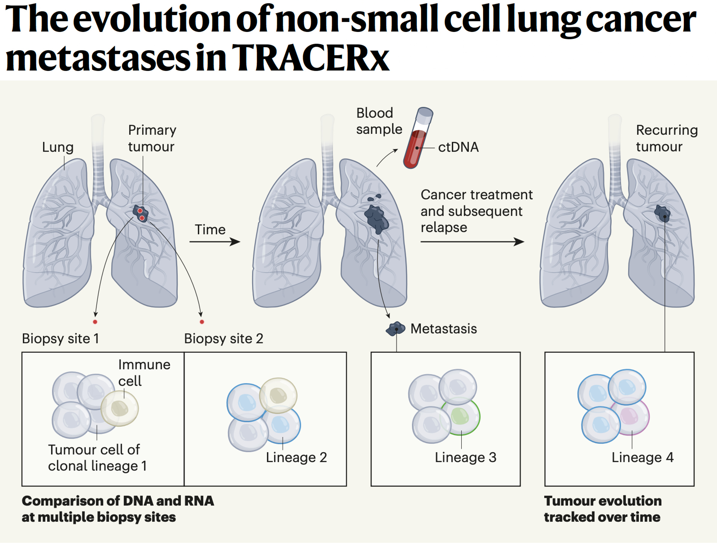 Charlie Swanton: A Master Class on Cancer - by Eric Topol