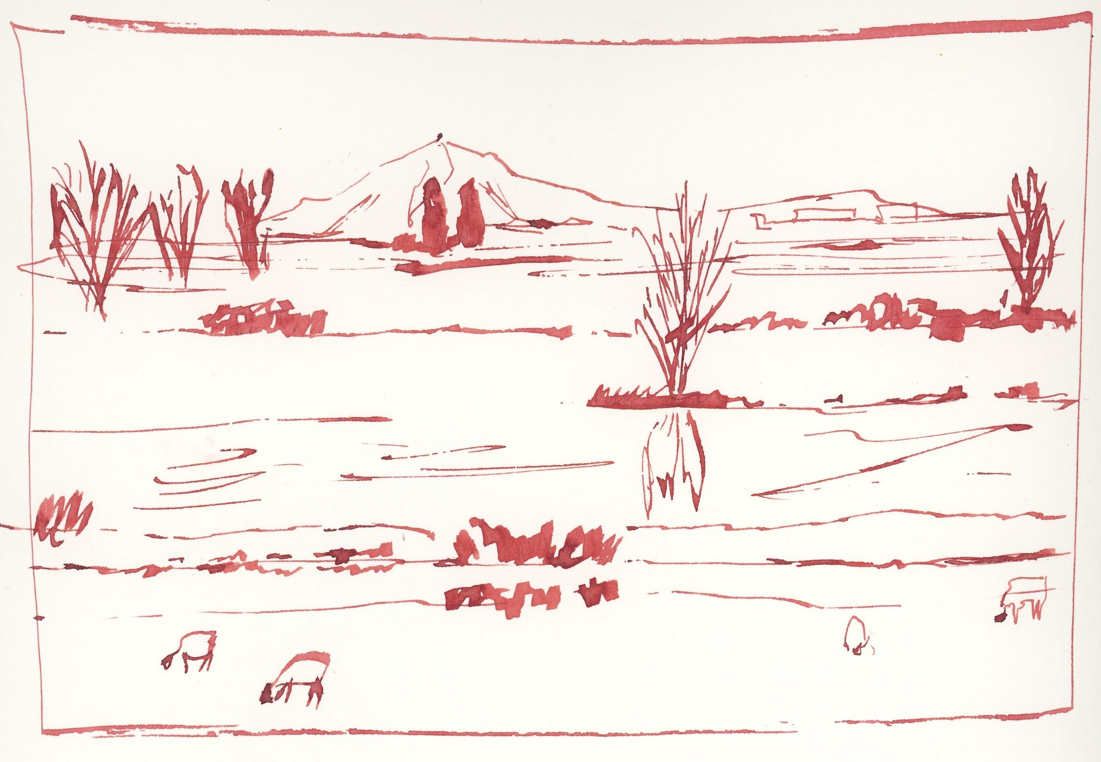 Art Lesson #12: Draw Upside Down - by Amy Stewart