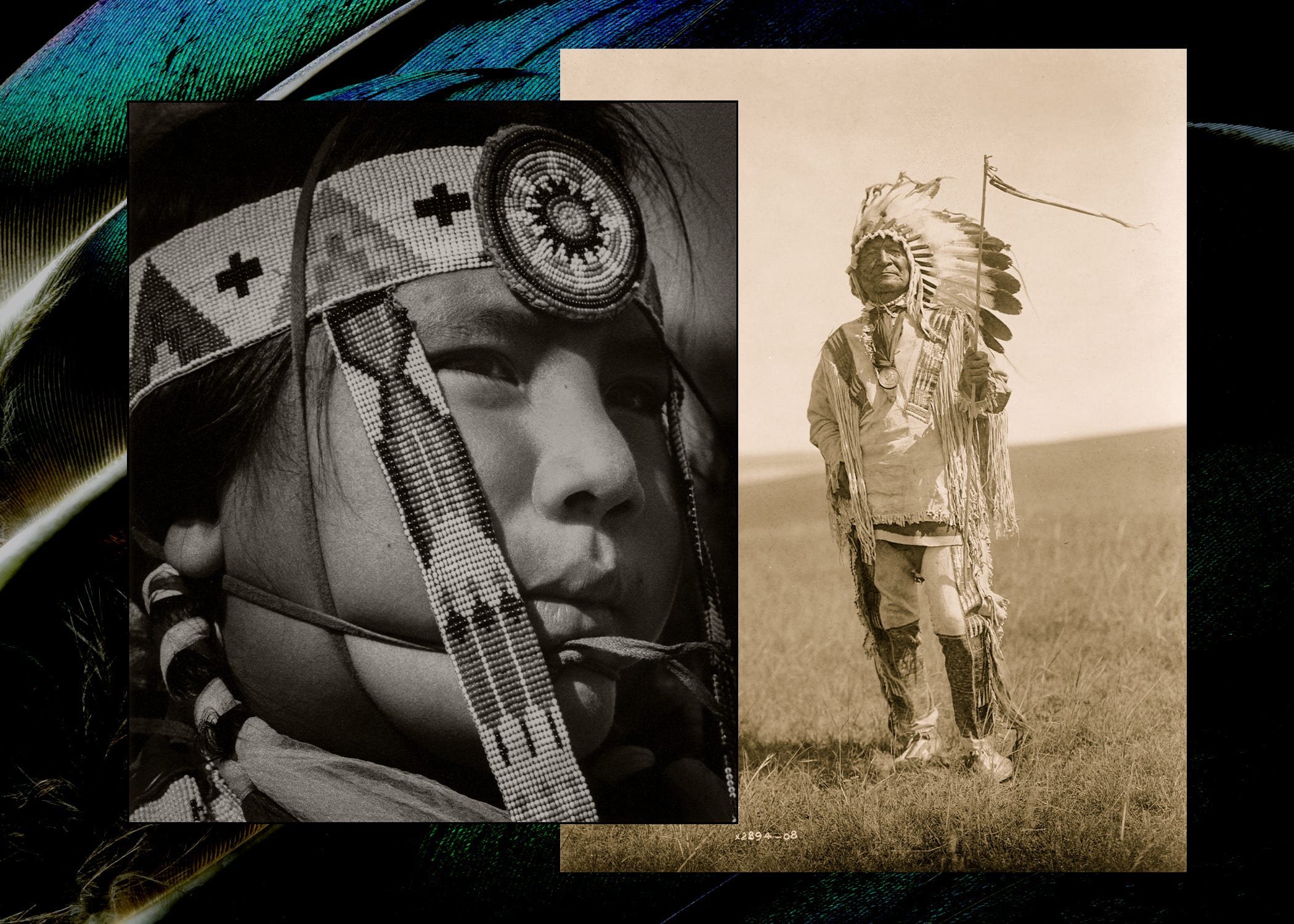 Indians and the American Story - by Peter C. Meilaender