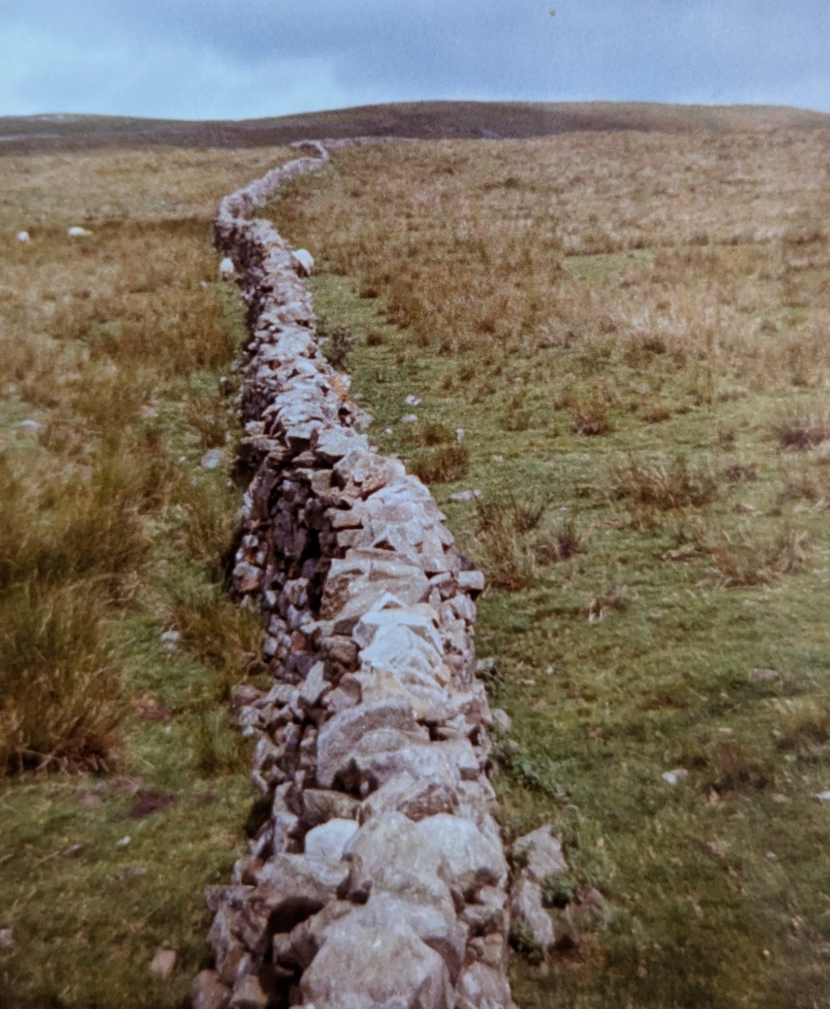 #28 – 1984 Week 31: Storms, stone walls and sheep