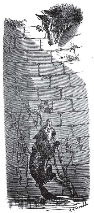 The Fox in the Well 1/1 - The Junior Classics