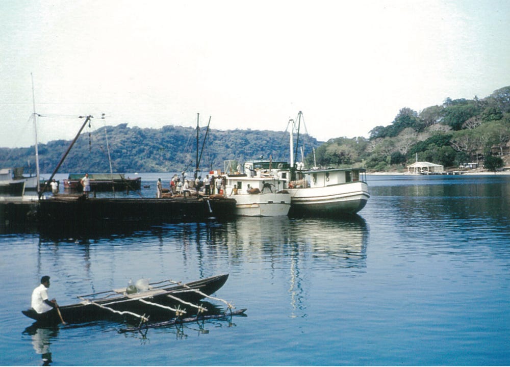 The Story of the Coconut War