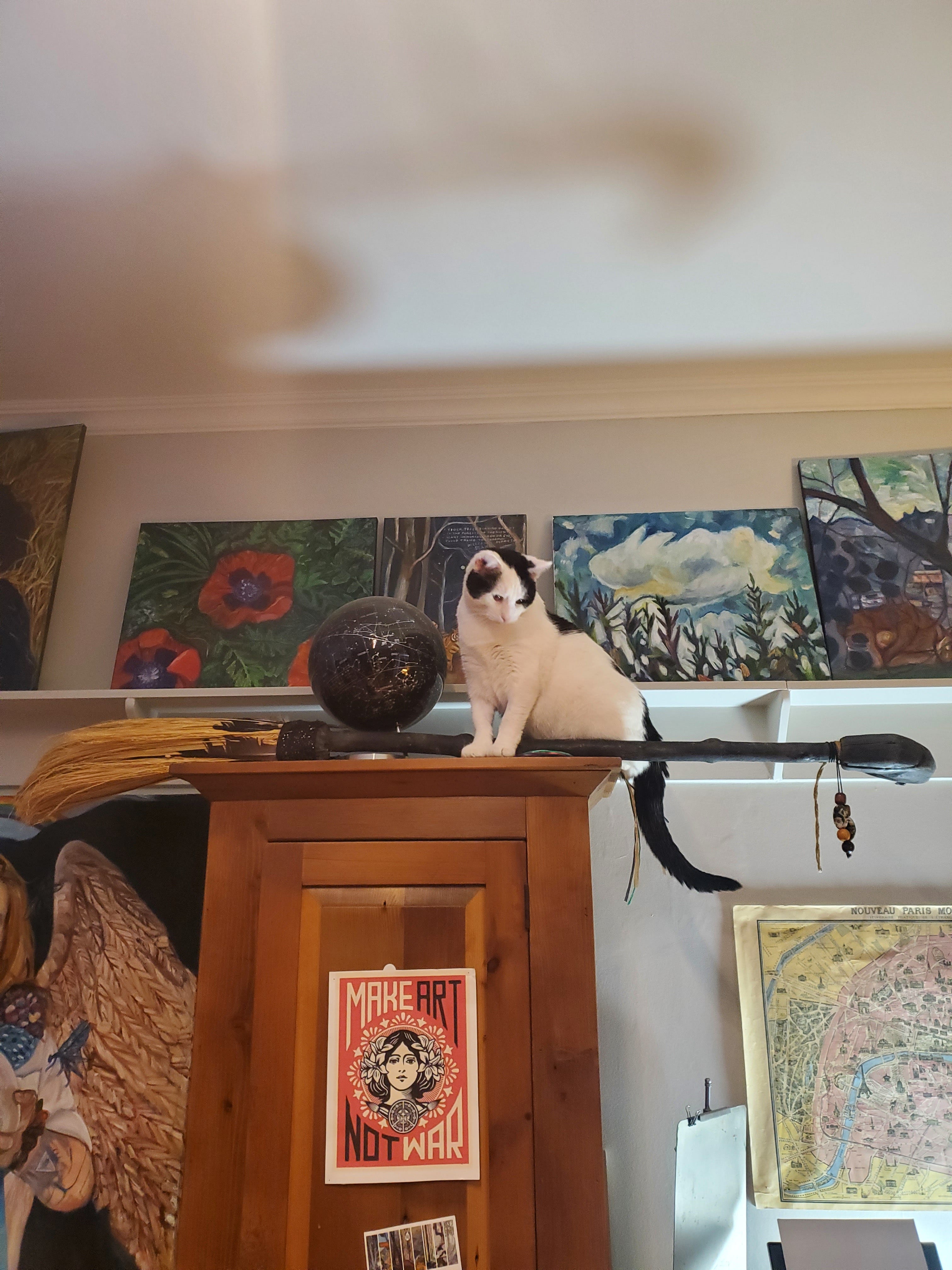 Get Busy - by Lydia Knox - Lydia’s Substack