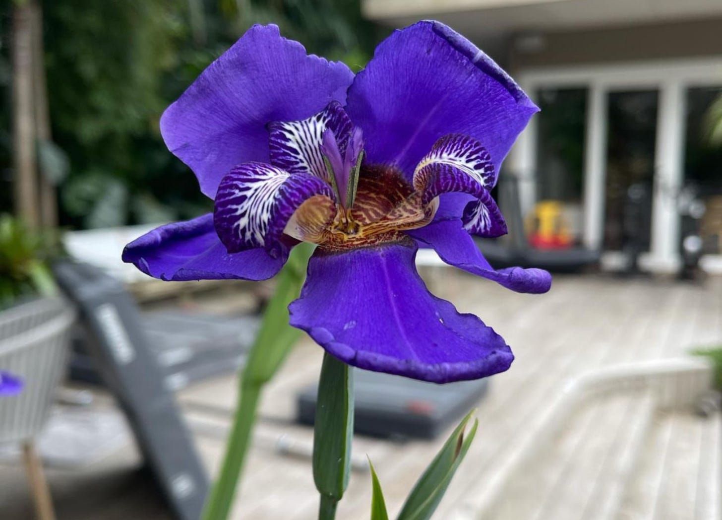 Building your belief system - by Hamish Corlett