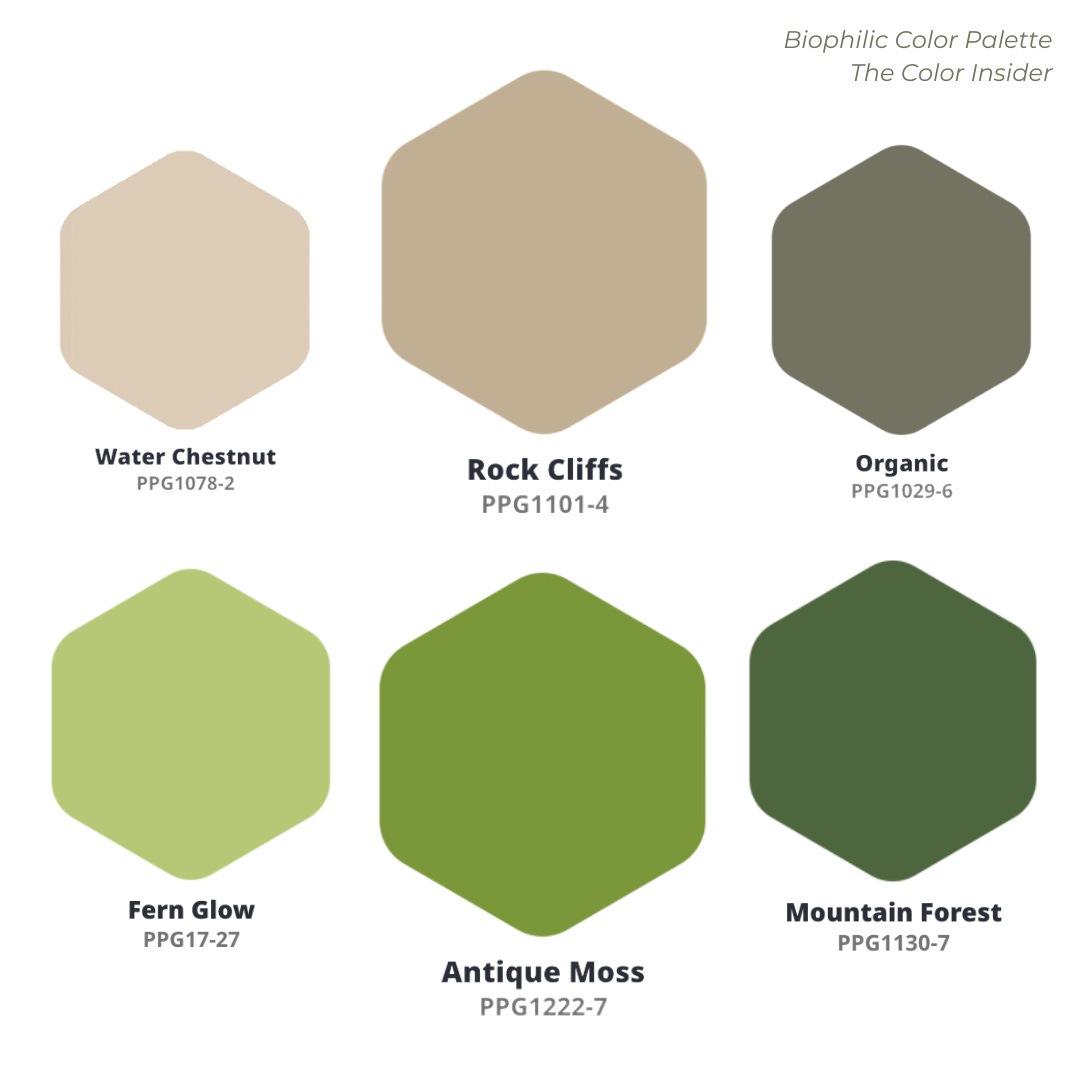 Biophilic Design - Color Insider