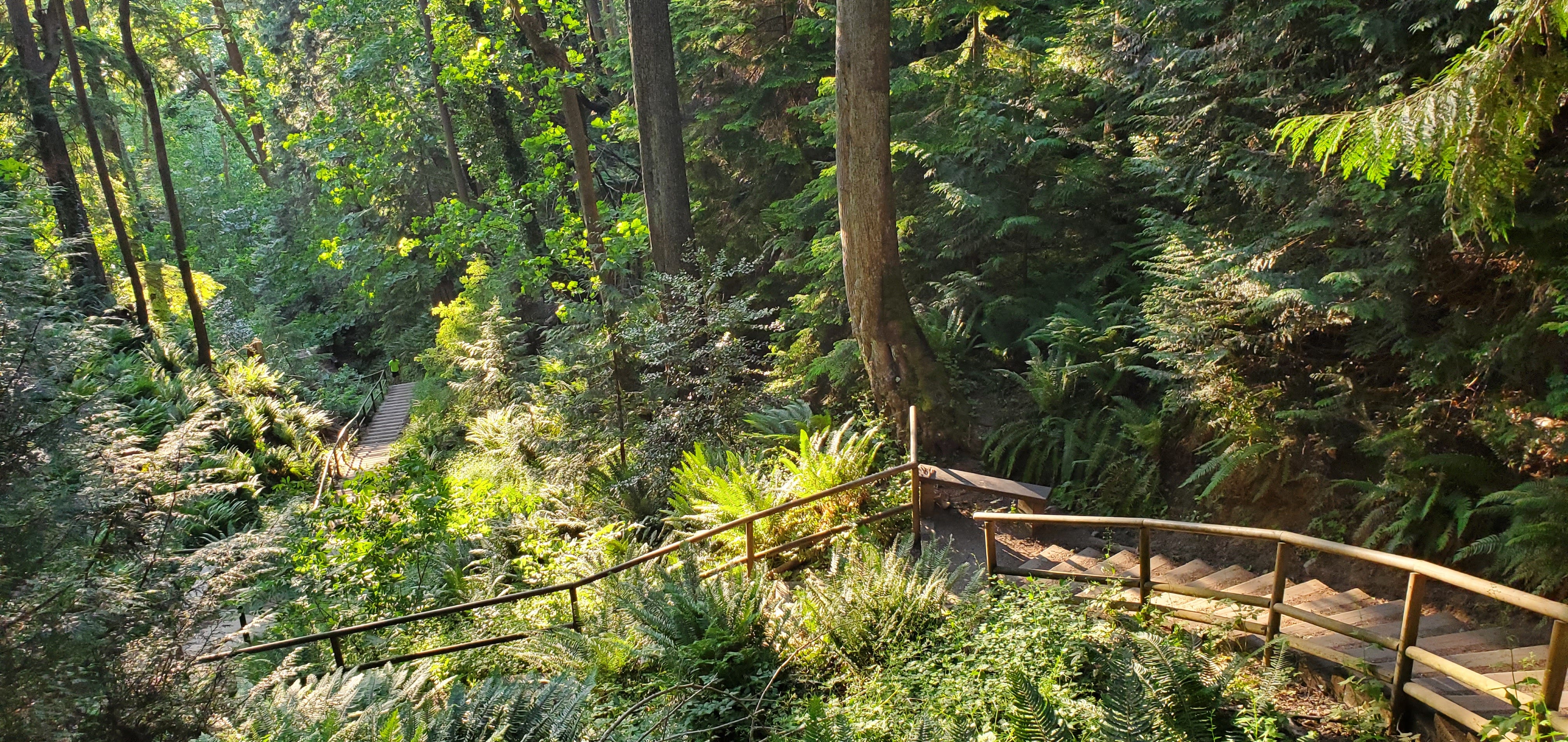 Chasing Hills - by Susan Czyzo - Susan’s Substack