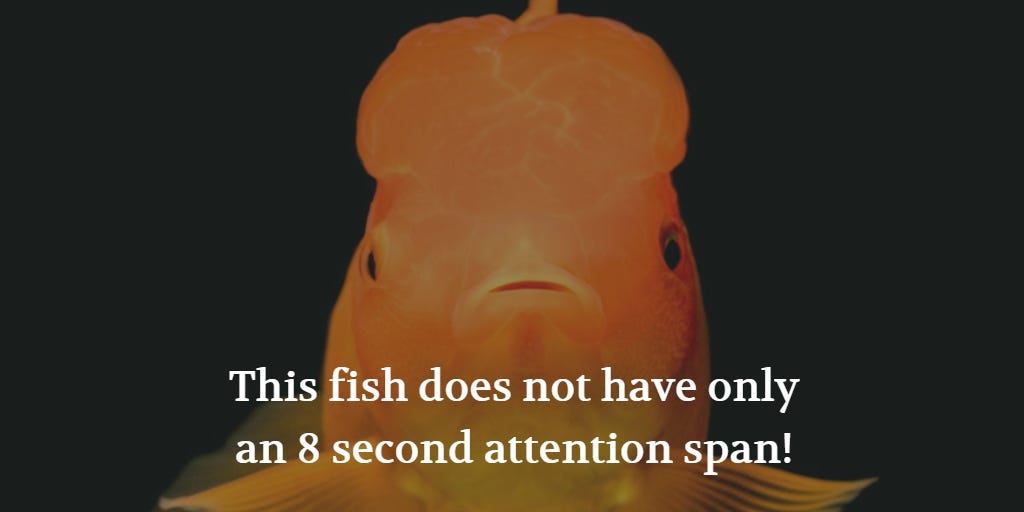 Is the Goldfish Attention Span Myth Affecting Your Marketing Decisions?