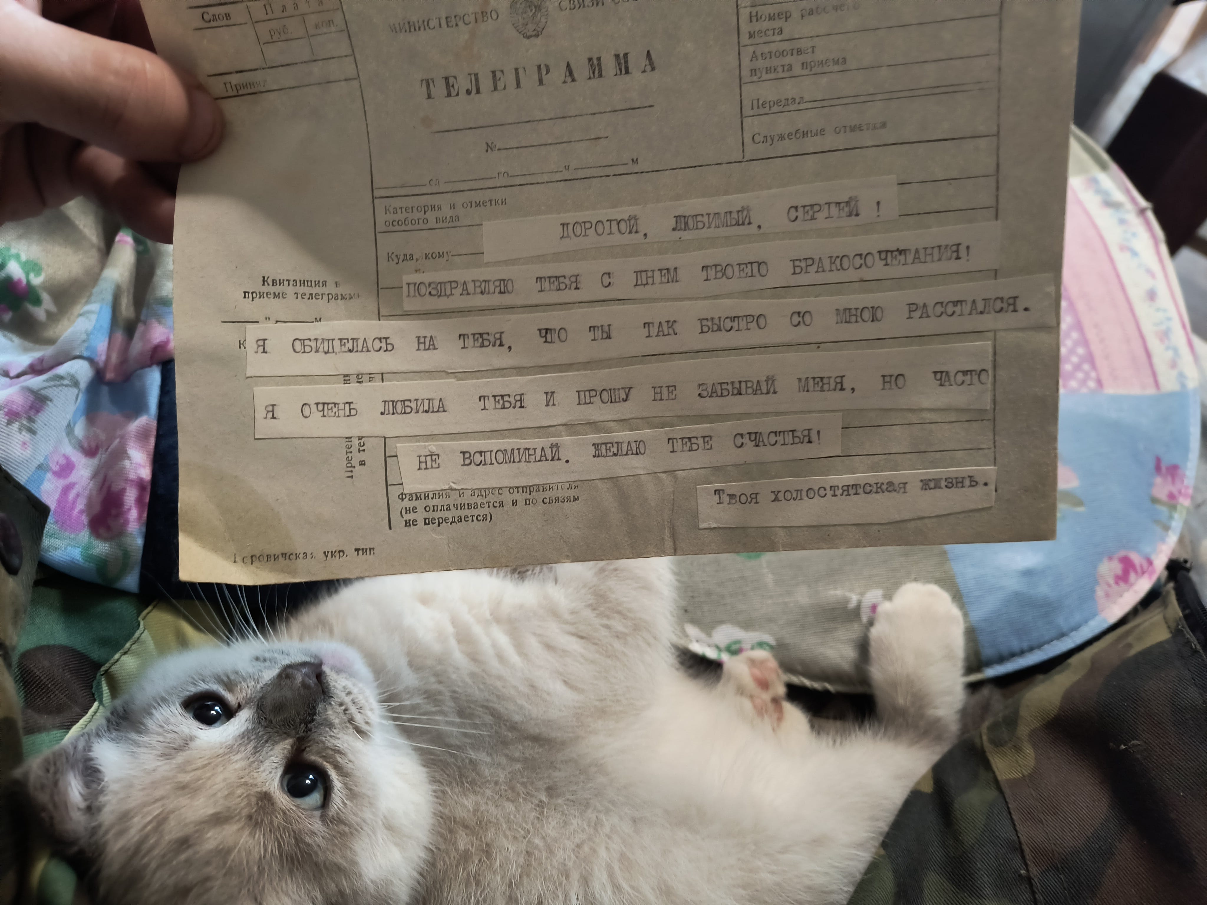A heart-warming telegram from the KGB - Edward Slavsquat