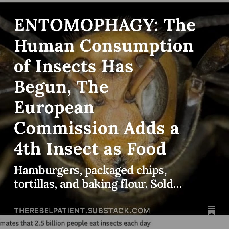 ENTOMOPHAGY: The Human Consumption of Insects Has Begun, The European ...