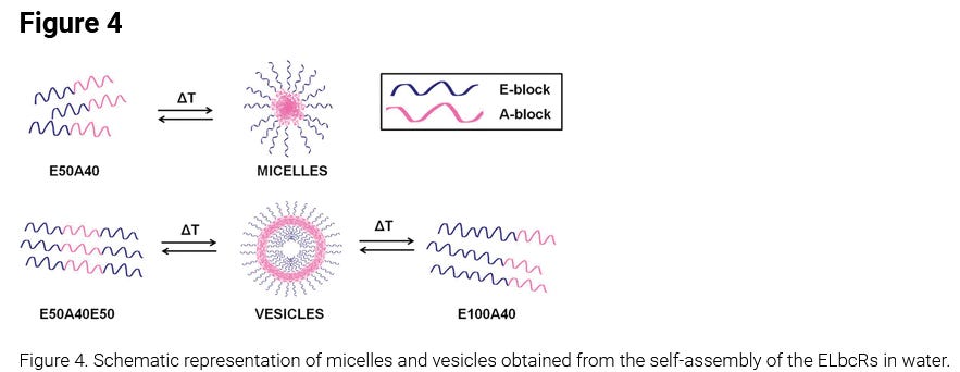 Self Assembly Nanotechnology Polymer Micellar Tubules To Micelles To ...
