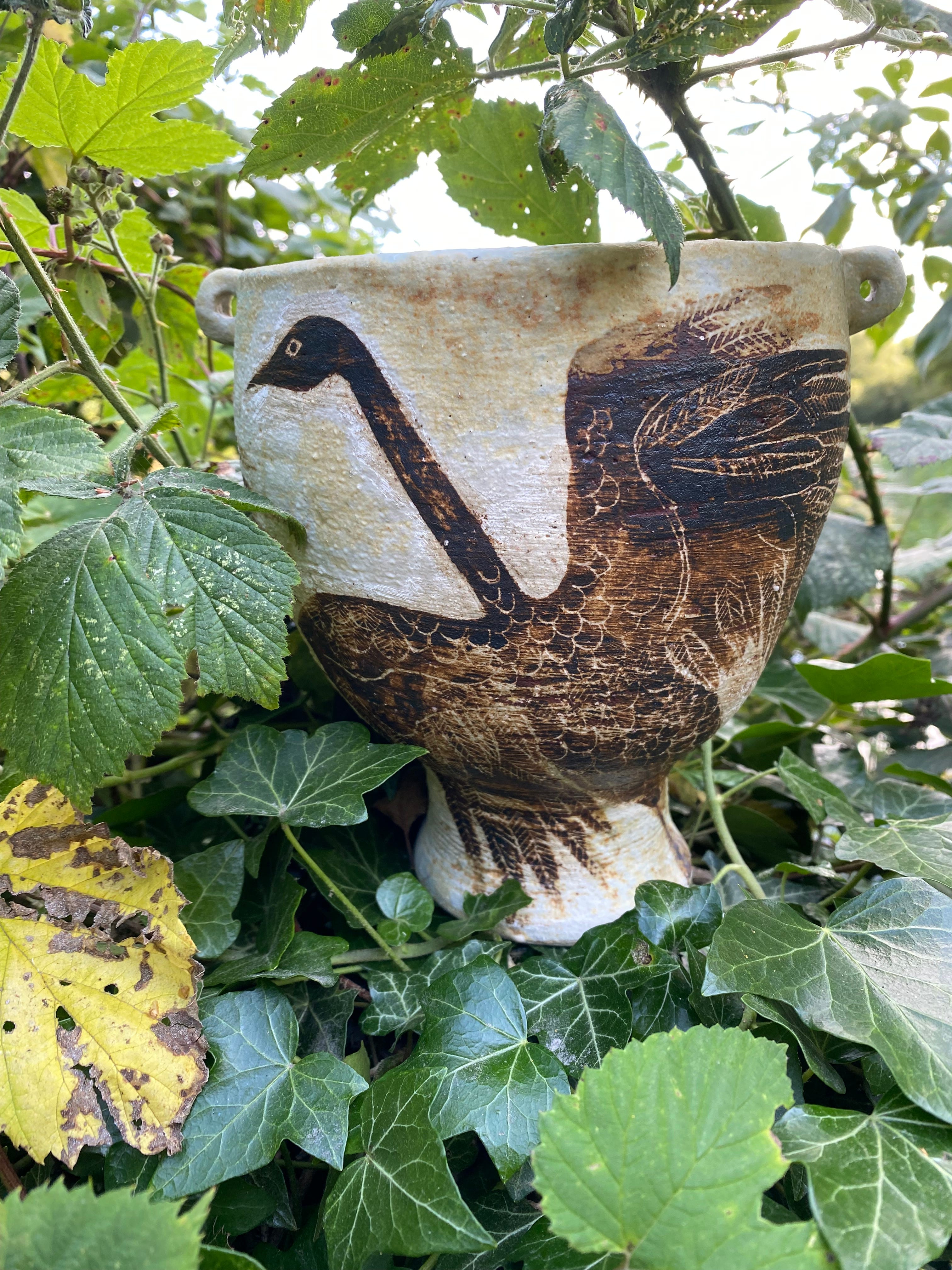 Dissolved in Dew - by Imogen Ashwin - Bracken & Wrack