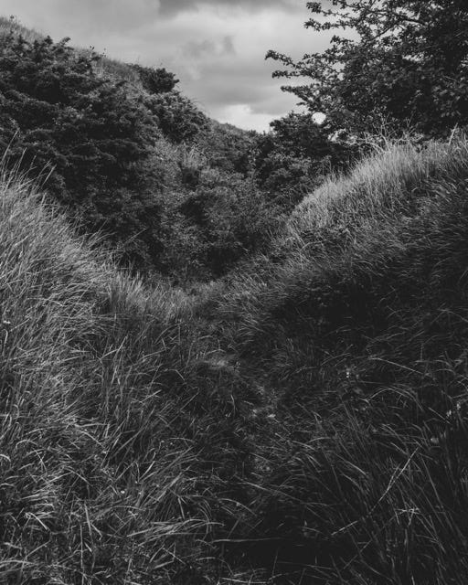 THE LANDSCAPE AS A METAPHOR FOR GRIEF - by Dawn S Rodgers
