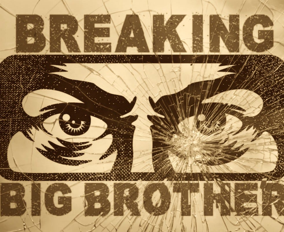 Breaking Big Brother - by Melissa Mistretta - Thinking Man