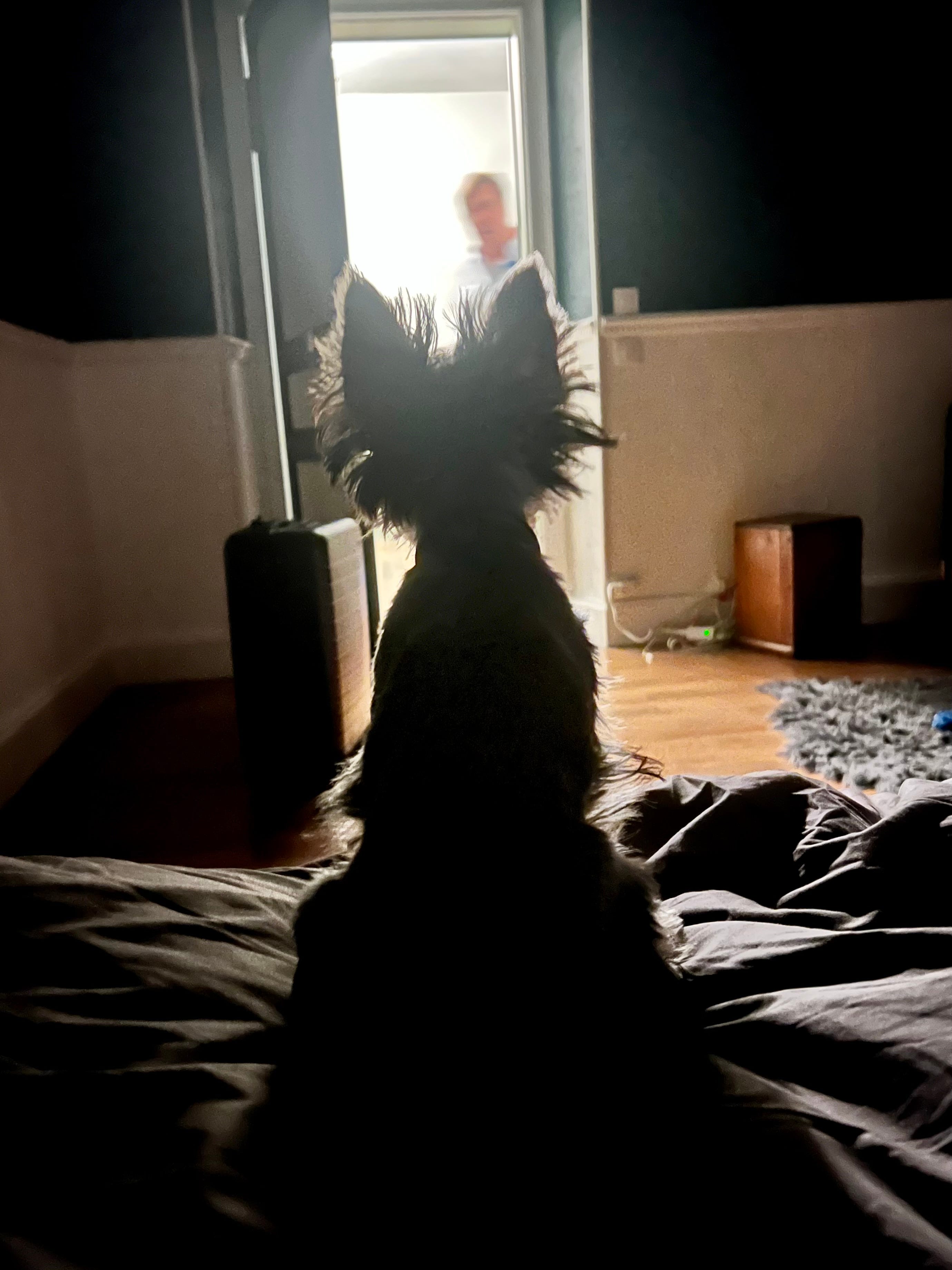 Our first day. - Chateau de Riolas Substack