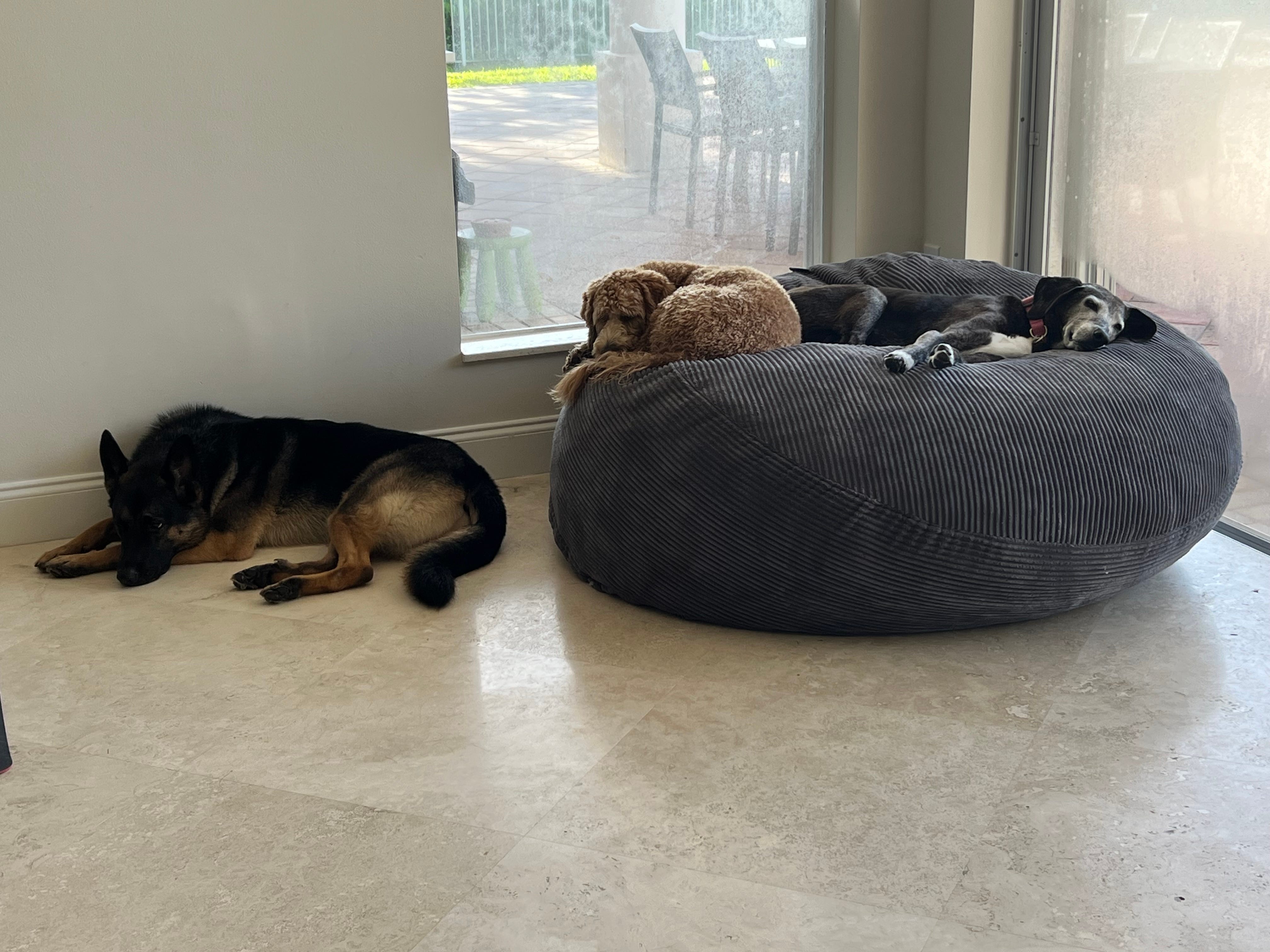 A Chat With Alex Vindman - Rachel Vindman