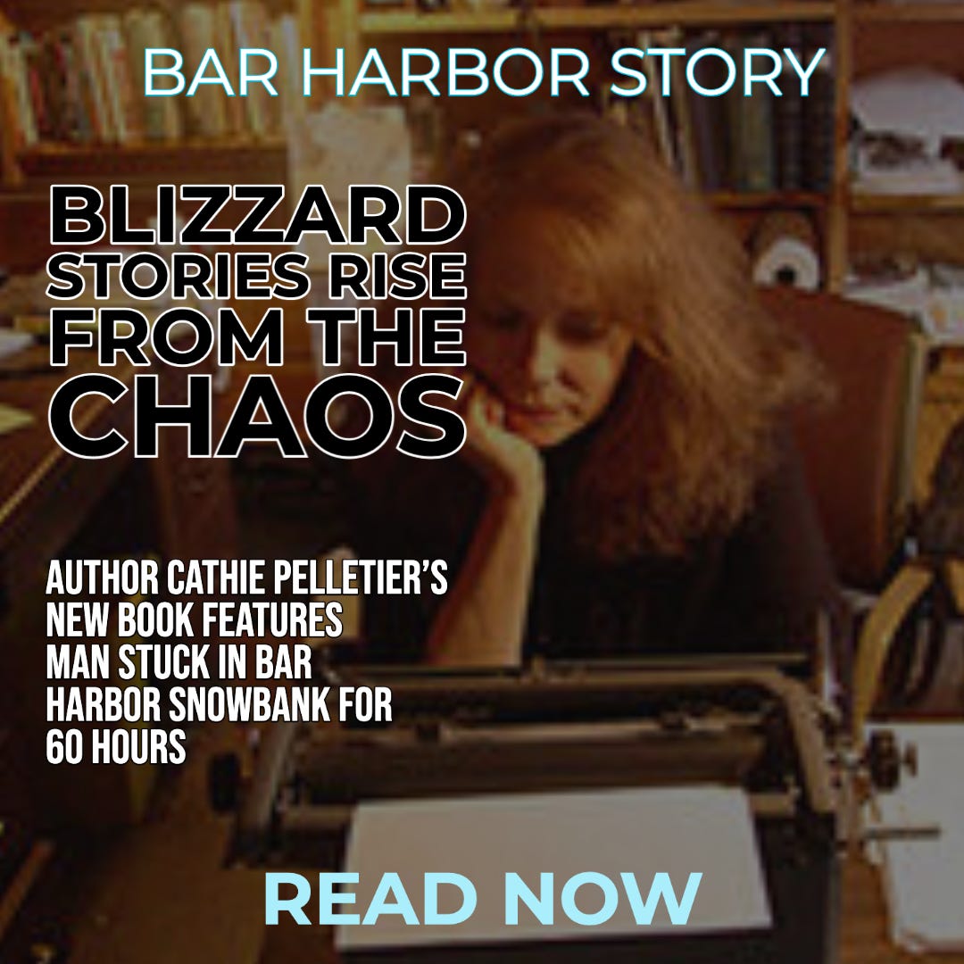 Blizzard Stories Rise From The Chaos – Bar Harbor Story