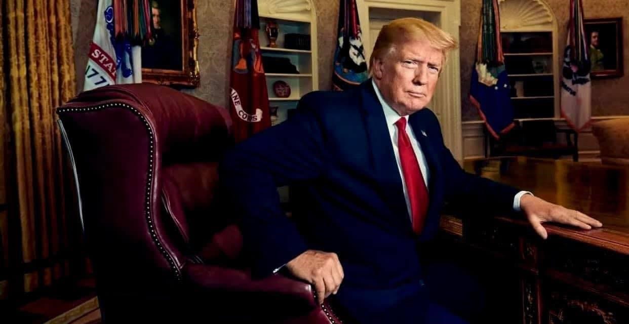 The Man, Donald Trump - by DeLynn Nicole Poma
