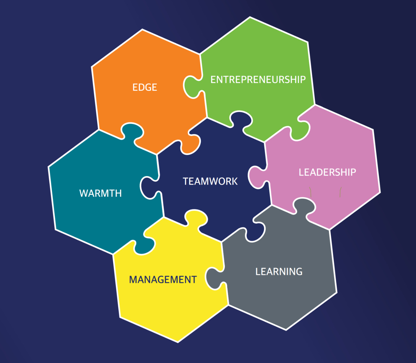 Bayer AG - Turning the Organisational Pyramid on its Head