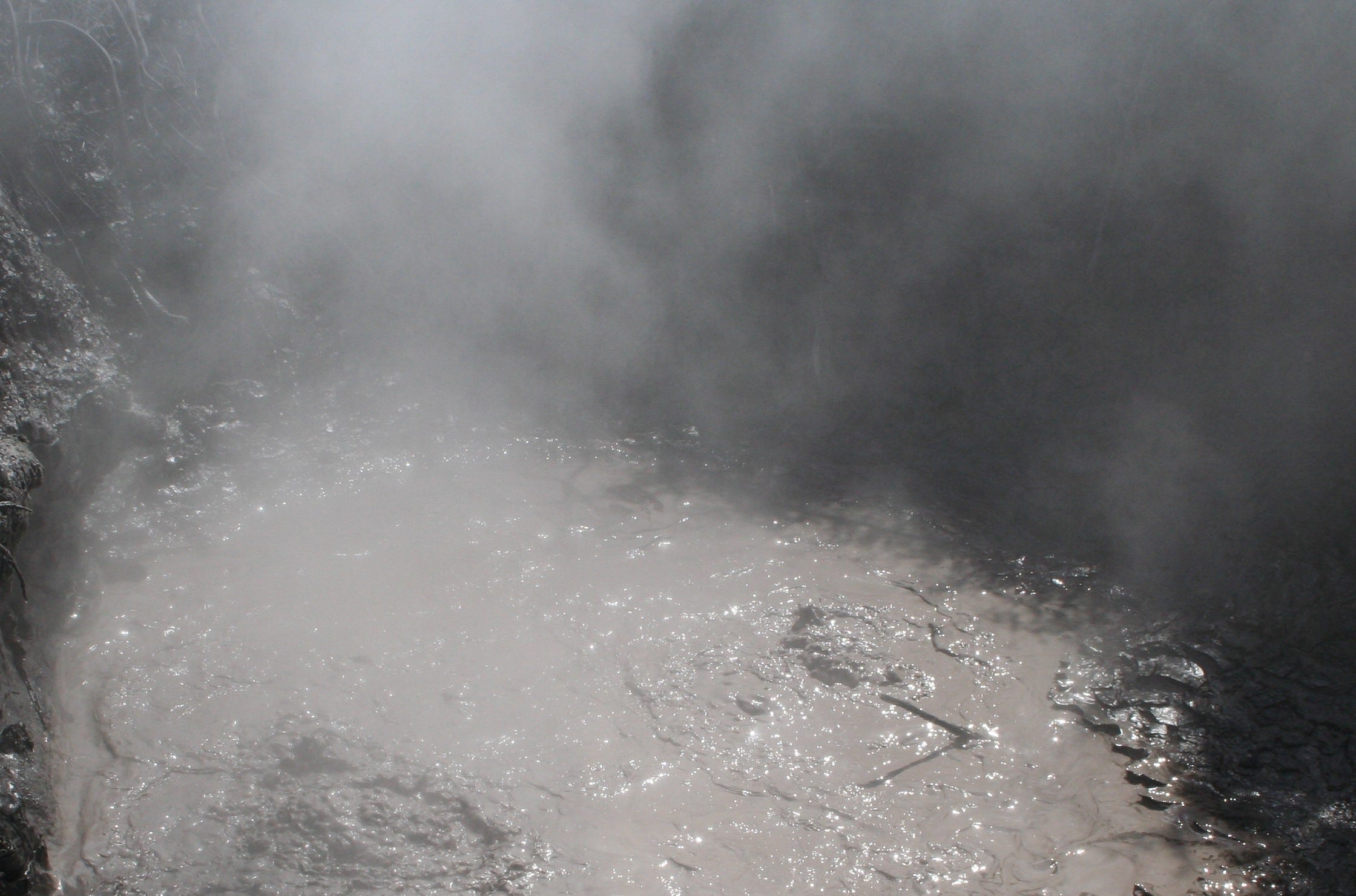 Steaming up - by Melanie Newfield - The Turnstone