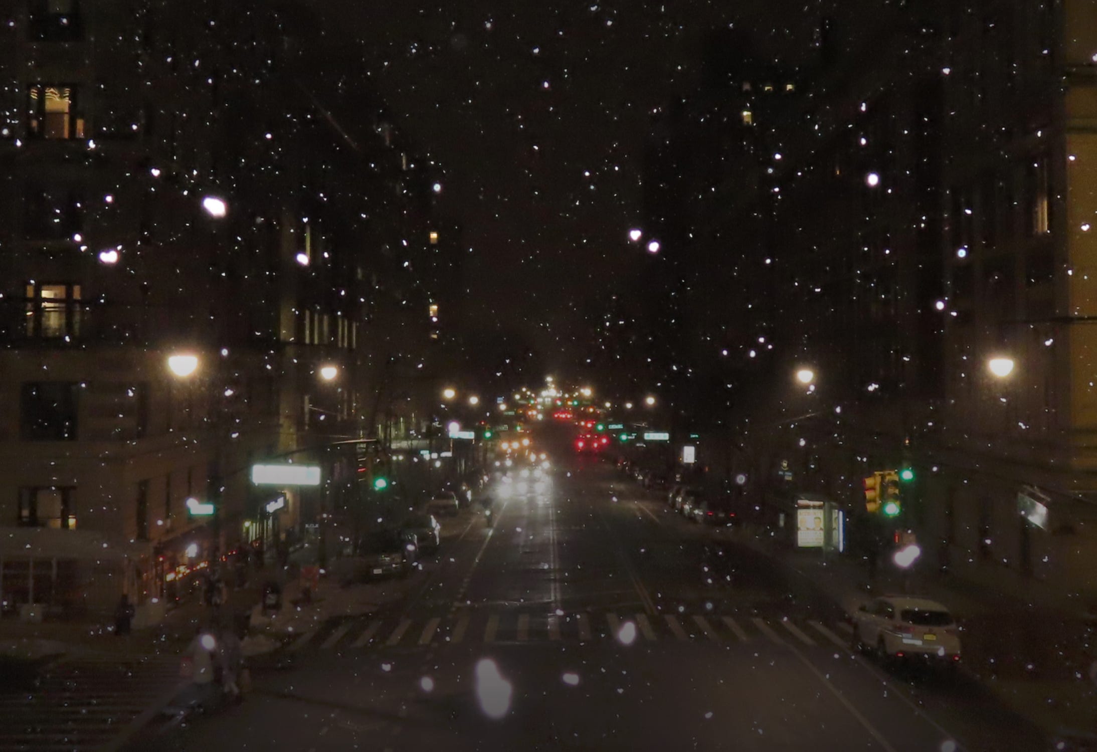 You’re Going to End Up Alone - by Anthony Rispo