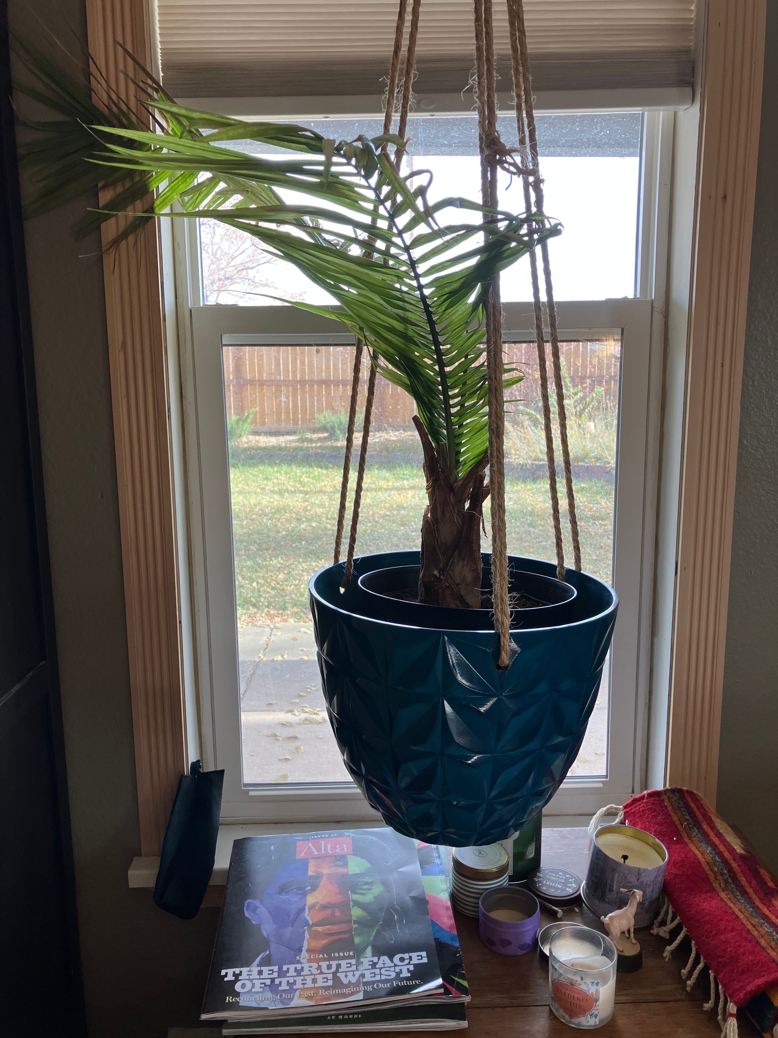 Why are you like this? - by Perrin Pring Author