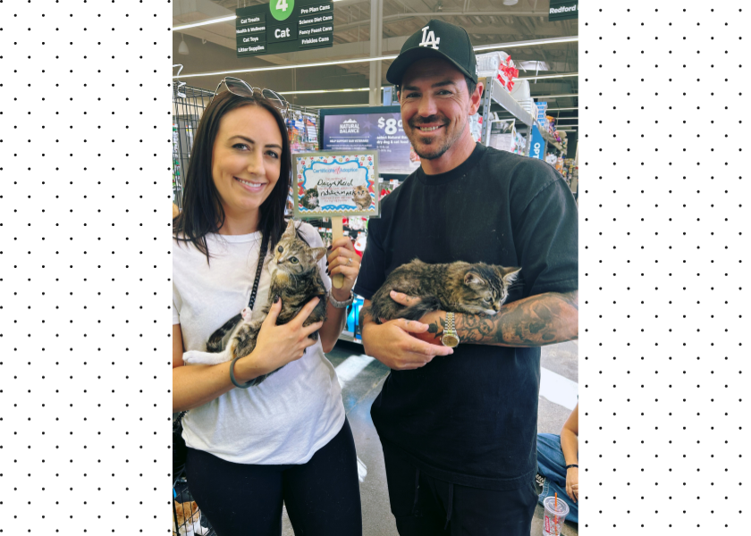 Books About Family Drama - by Natalie McGlocklin - Subverse