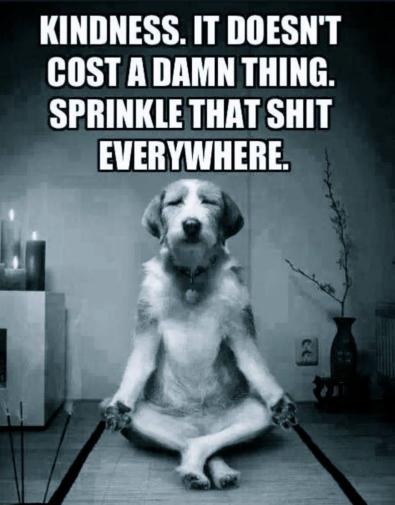 How Tina Changed My Life - by Steve Clisby - Unheard