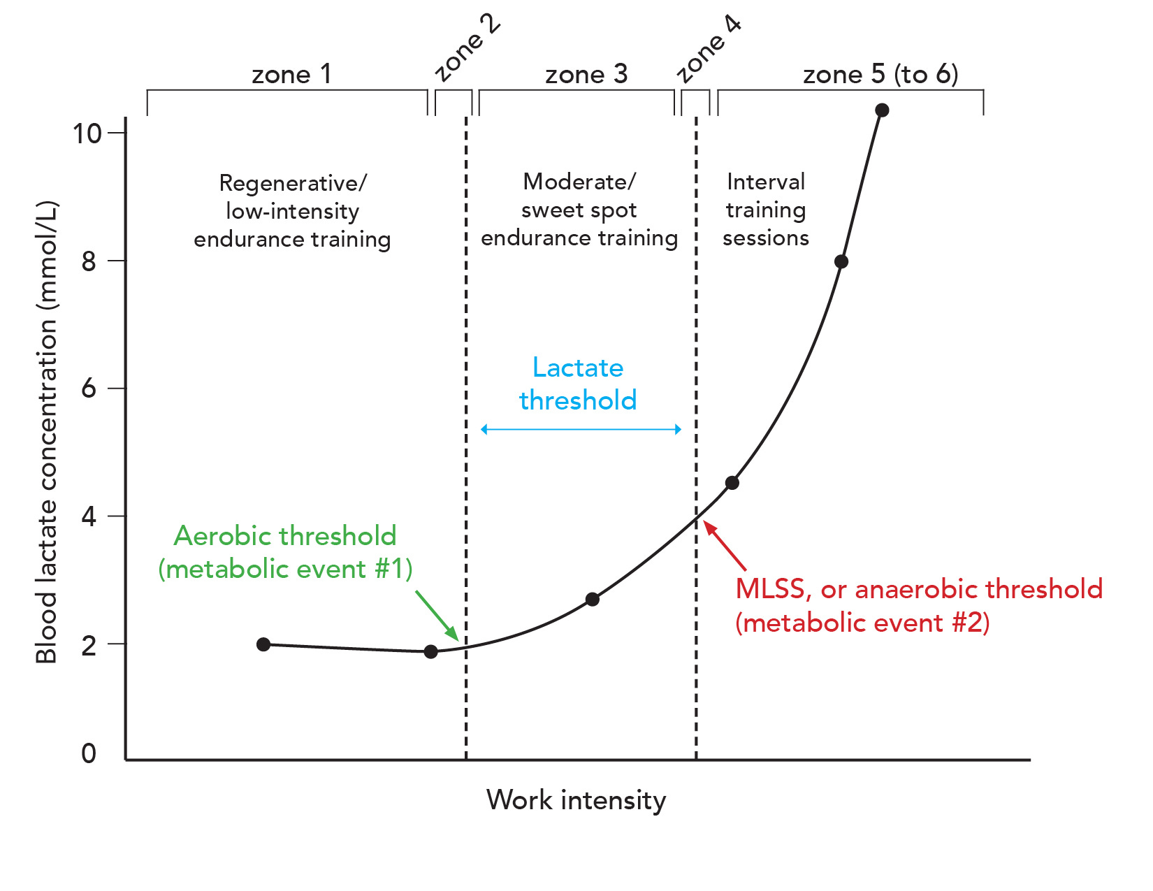 VO2 Max Essentials Part II: Determinants of Endurance Performance
