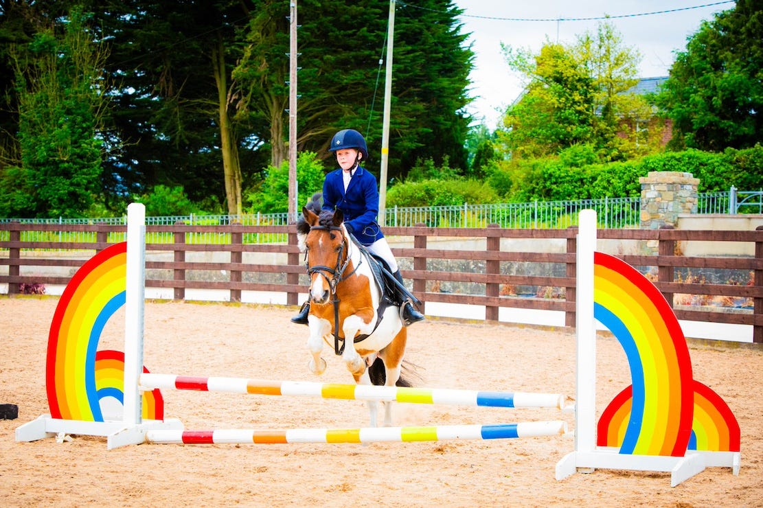 Equestrian competitors spoilt for choice - Horse&Field