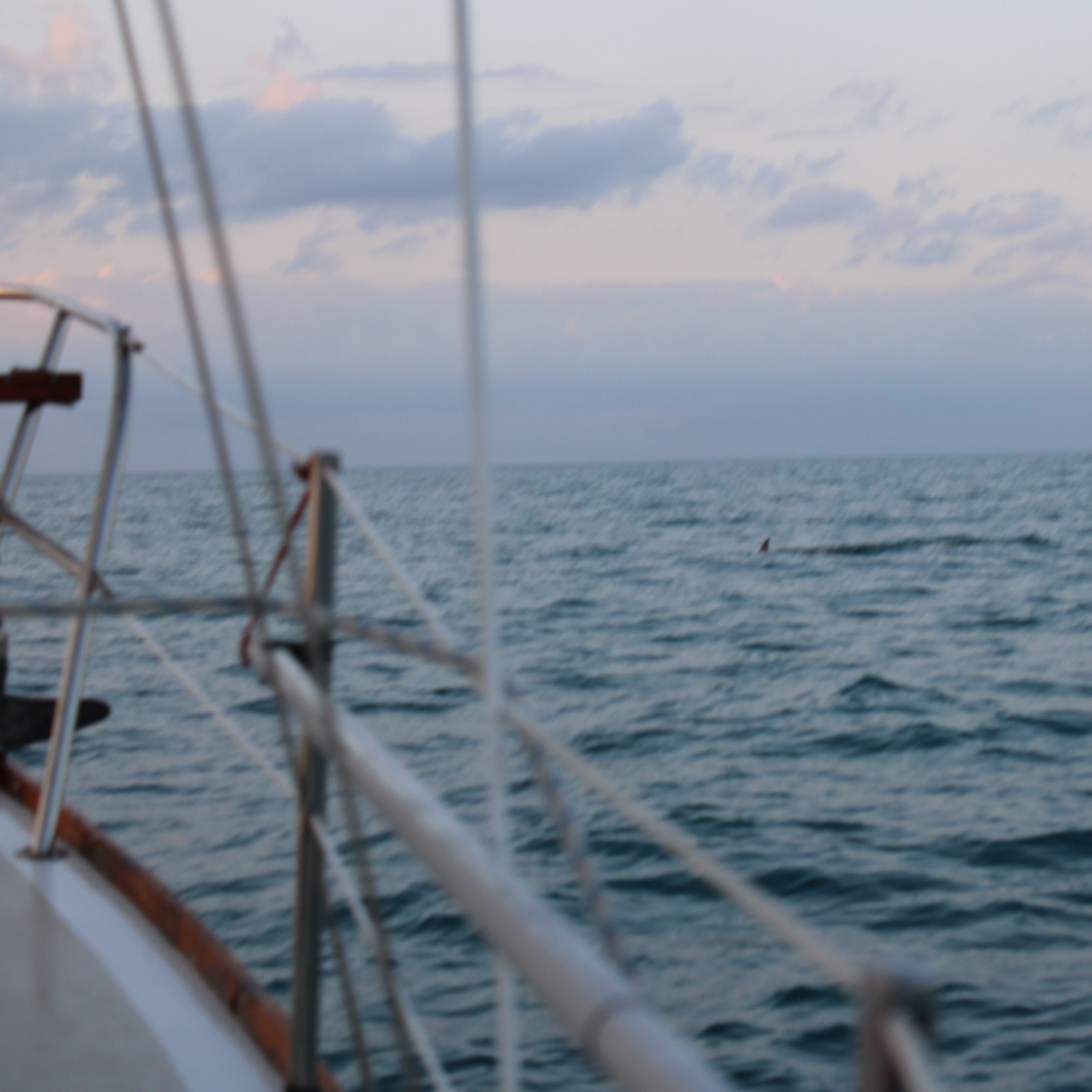 Despatches from the Deep | Substack