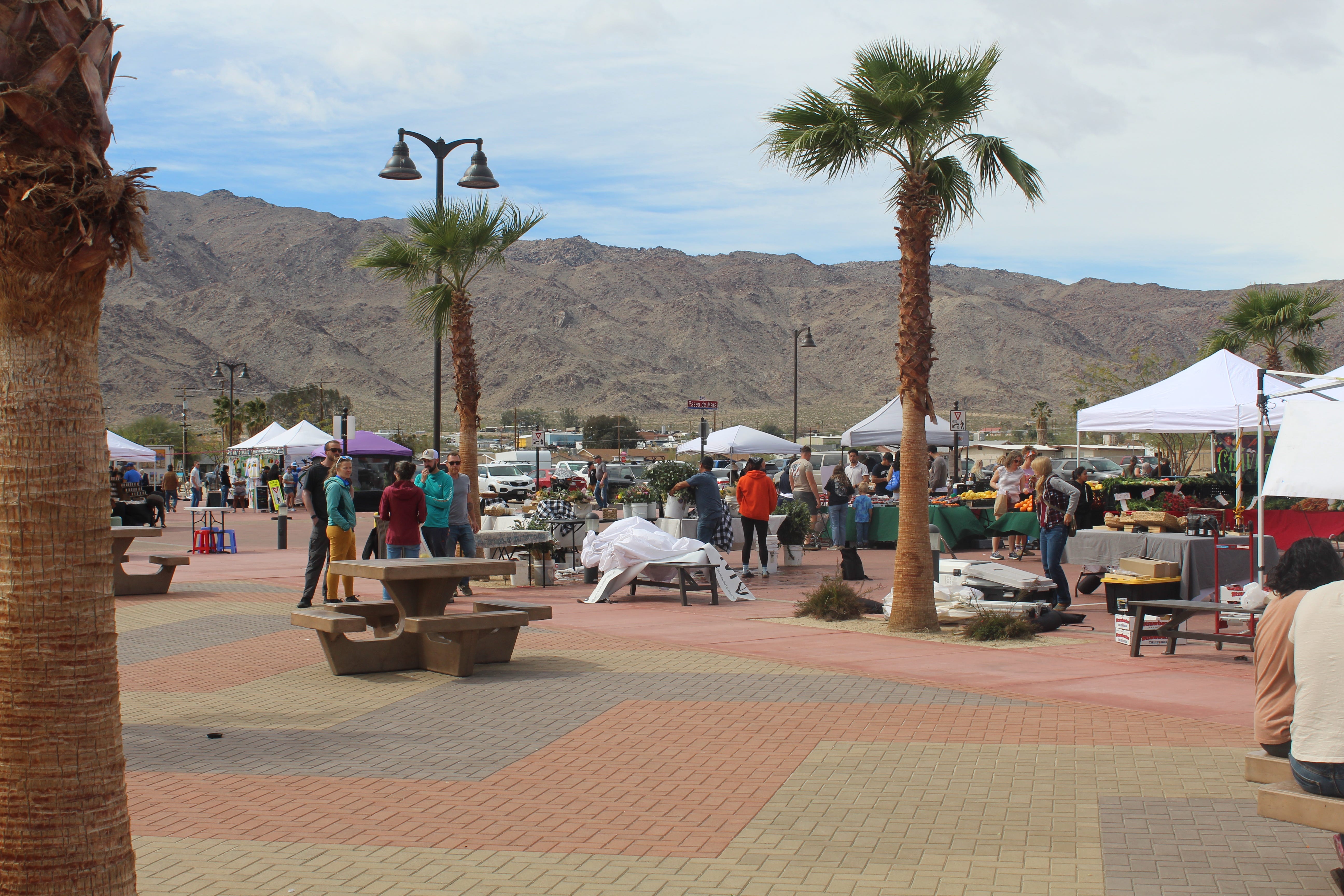 RECAP: 29 Palms Planning Commission, March 19, 2024