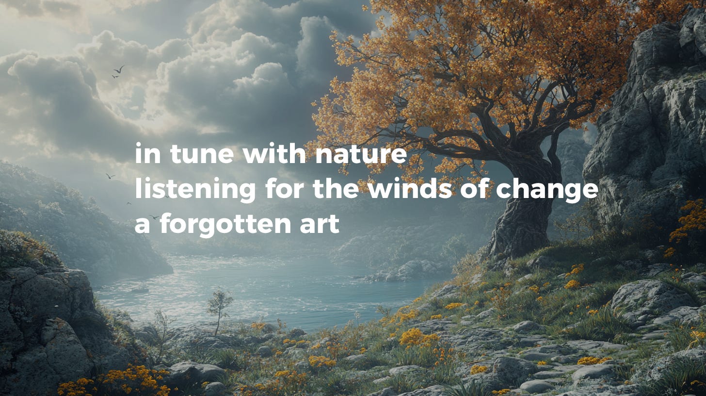 Your Daily Haiku - by J M Sota - Haiku Heaven Substack