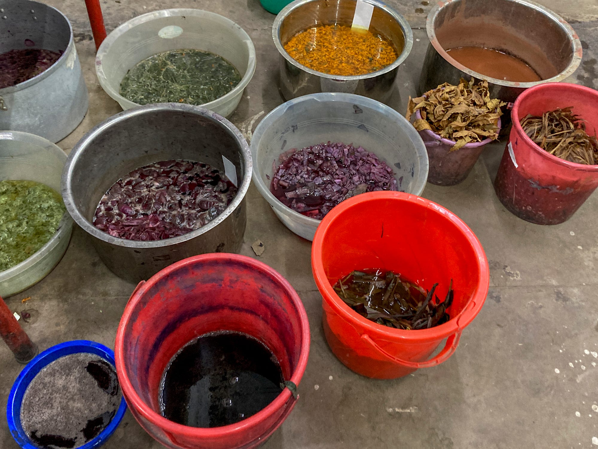 Natural Dyeing Class, NID