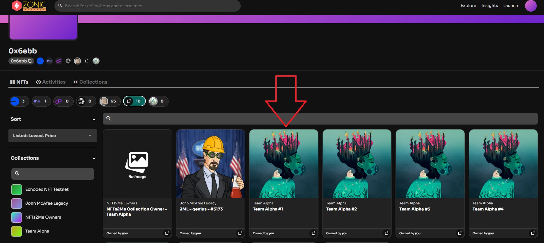Linea Voyage - NFT Week - by Enkhbayar - Team Alpha