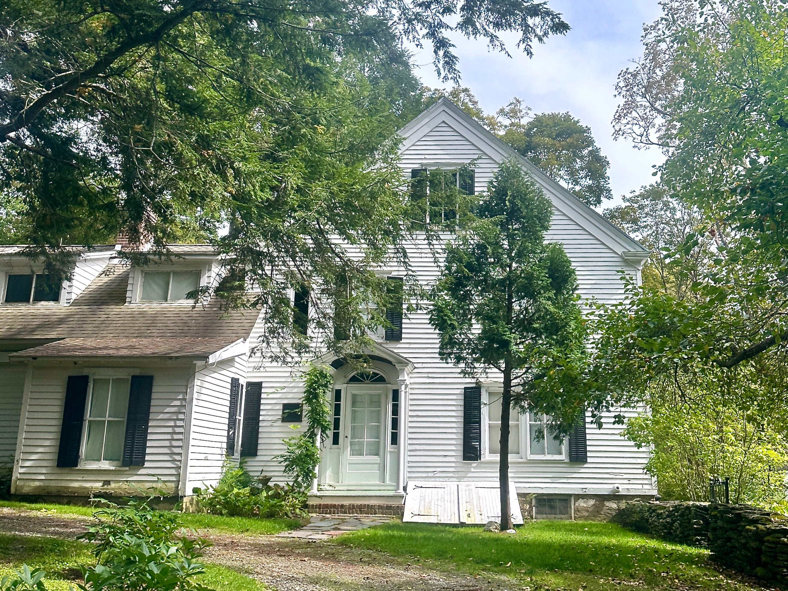 steepletop - Fox in the Dark by Lindsey Trout Hughes