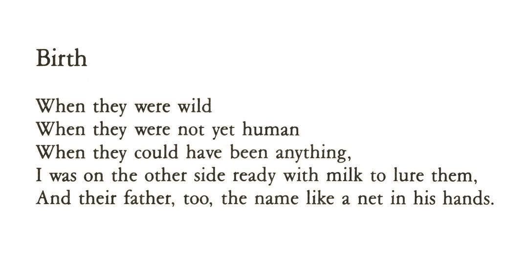 A Selection of Poems for Your Weekend - by Maya C. Popa