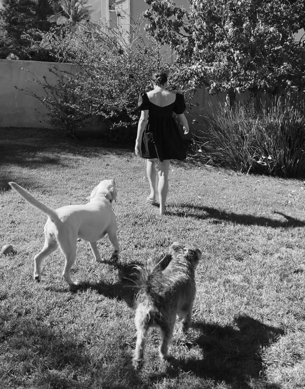 Kaitlynn Lucas | Substack