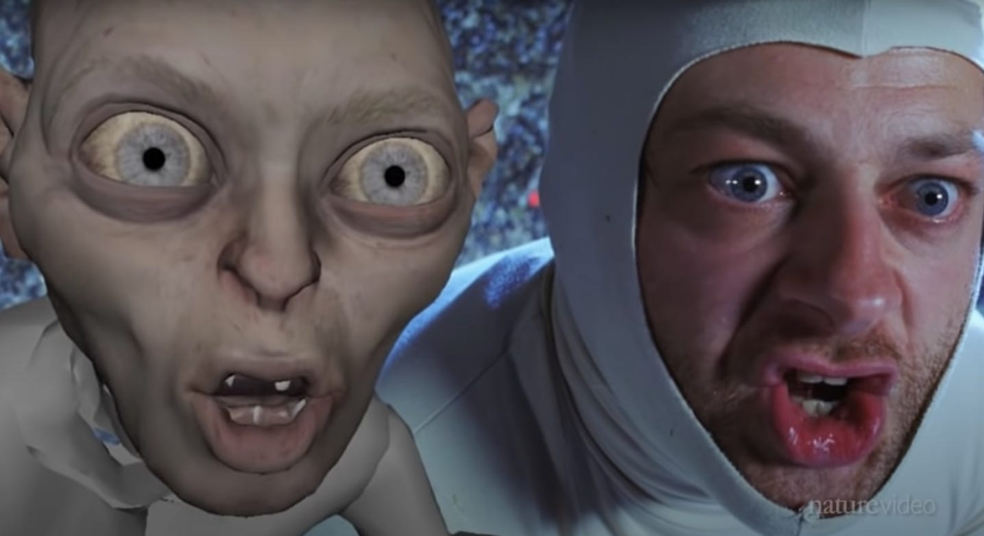 What We Talk About When We Talk About Animation