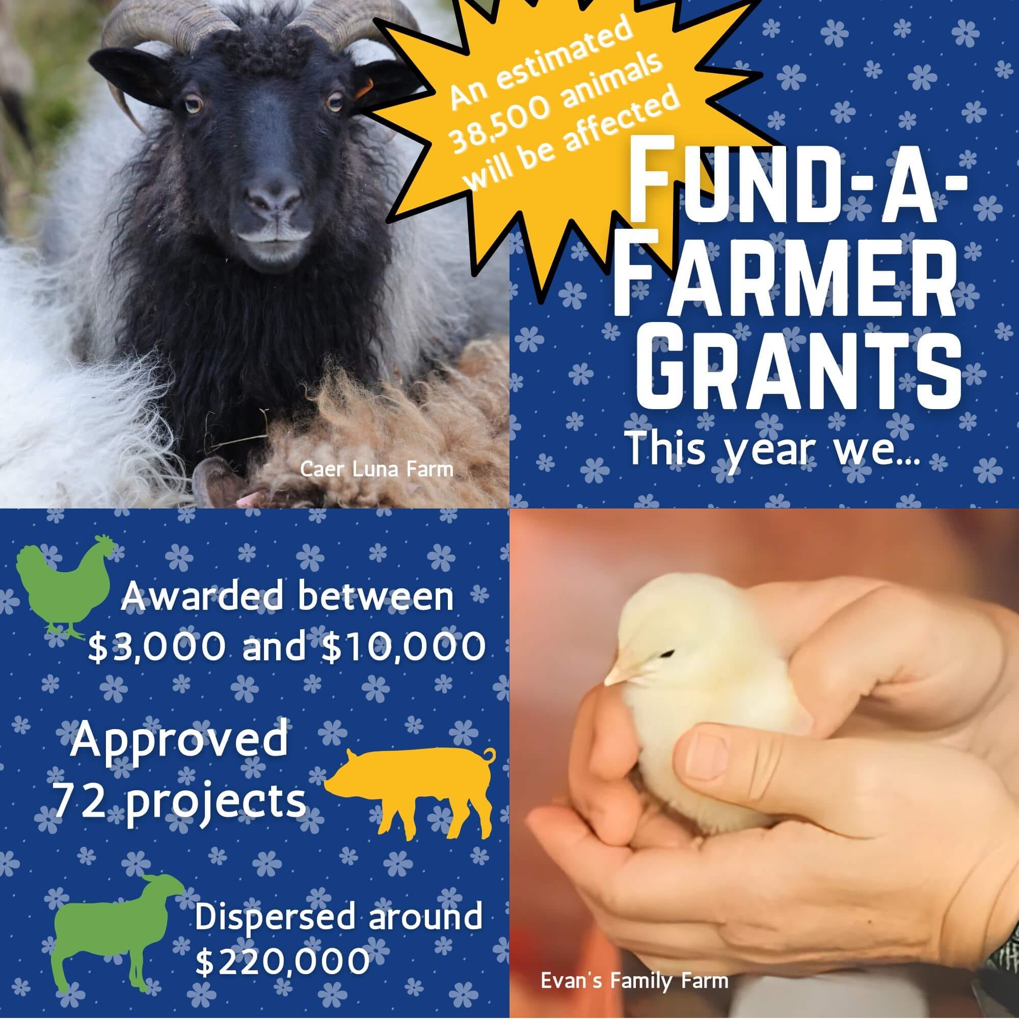 Farm Animal Concerns Trust Unveils 2025 Fund-a-Farmer Grants