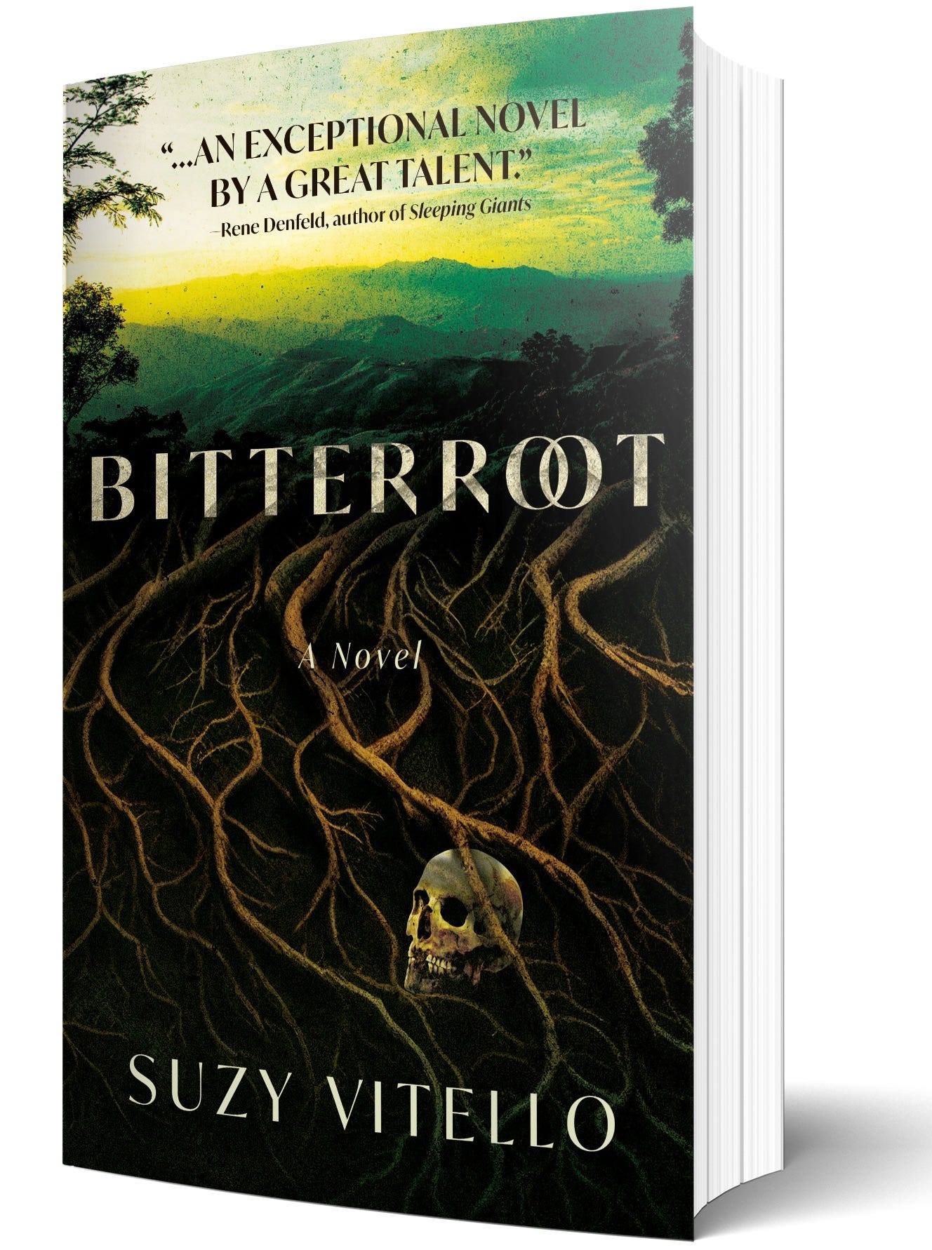 Suzy Vitello Tells Us - Cheryl Strayed's Dear Sugar