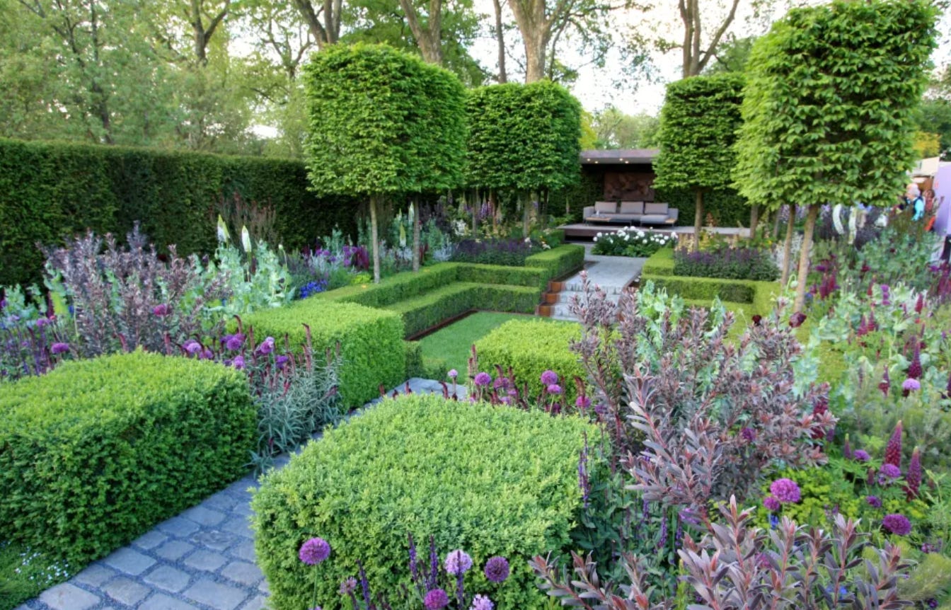 How I built a garden (and rebuilt my soul)