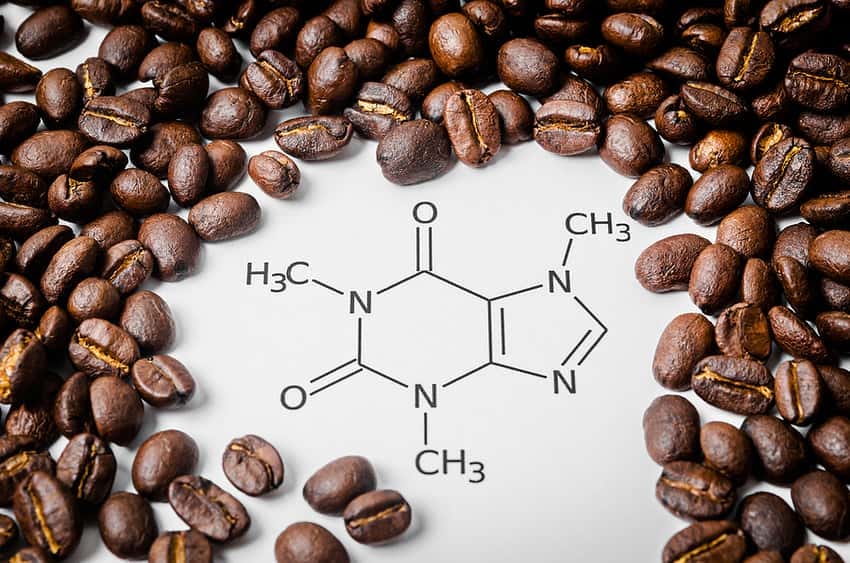 How exactly does caffeine affect the human body to keep it awake?